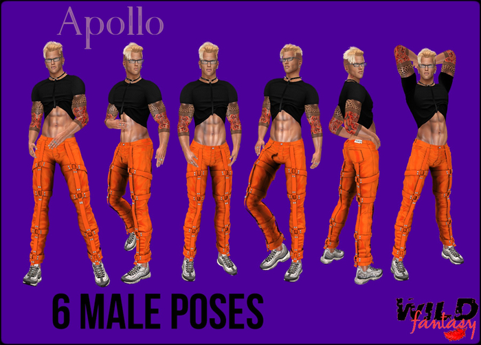 Second Life Marketplace - Apollo Male Poses